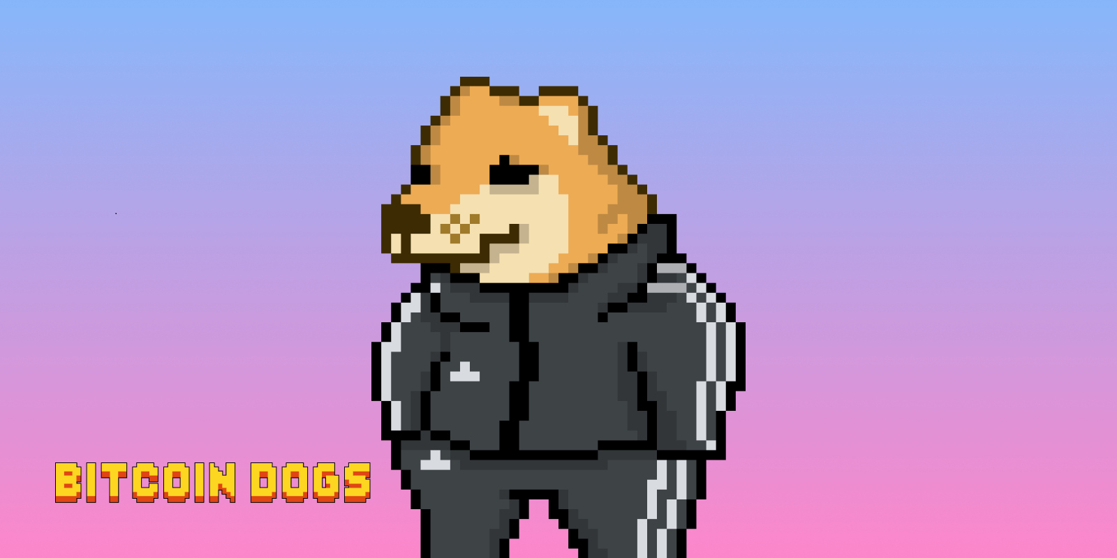 Bitcoin Dogs, Polygon and TRON Are All Trending: Here’s Why